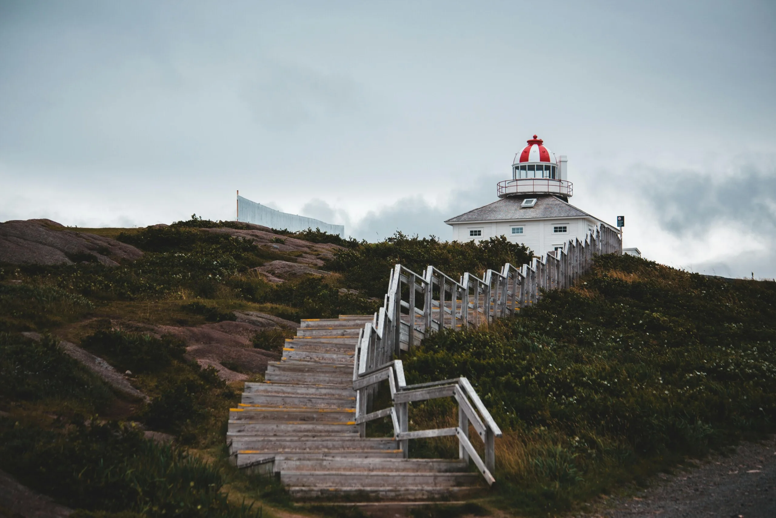 Canada Citizenship Certificate: How to Apply, Replace & Use It