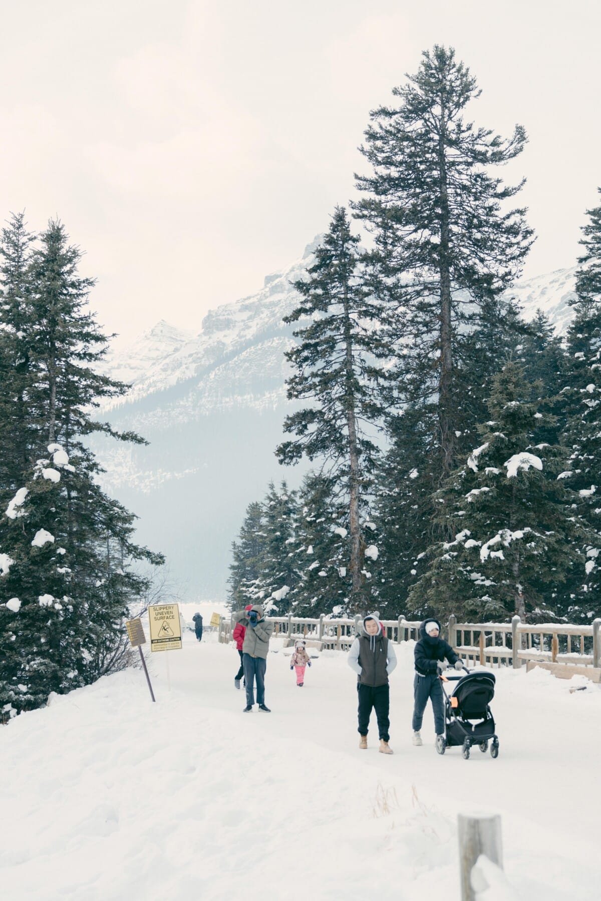 Procedural Fairness Letter Express Entry in 2026